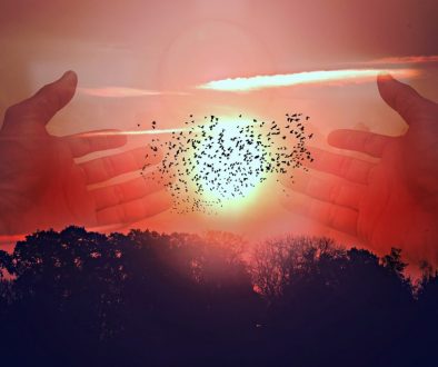 The Four Types Of Giving According To The Bible - Our Father's House